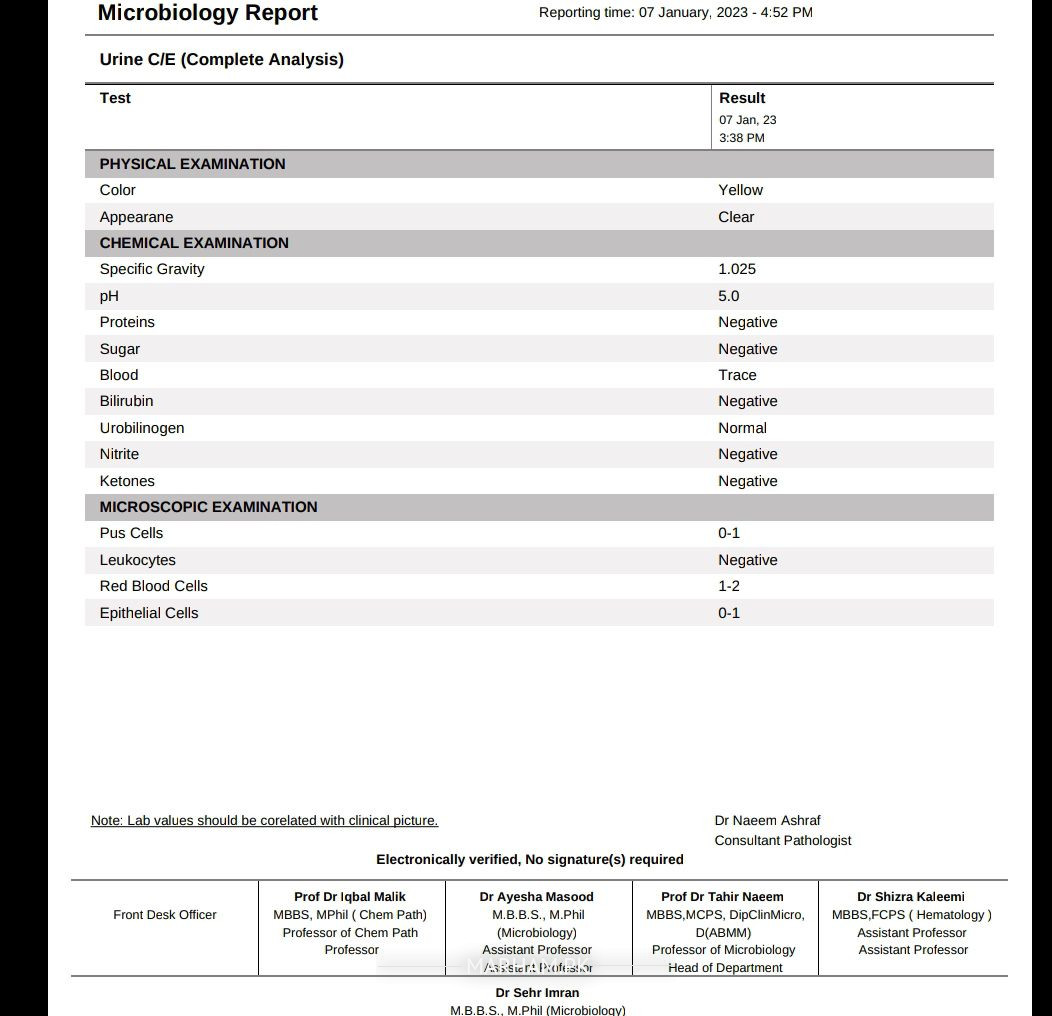 Ask a Urologist Online for Urine C/E Report