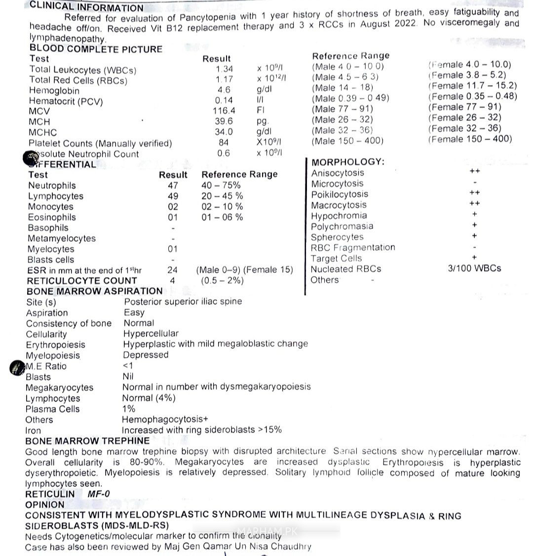 Ask a General Physician Online for Bone Marrow Test Report