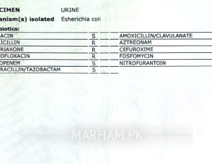 Ask a Urologist Online for Urine CS