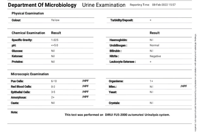 Ask a Urologist Online for Urine Test Report Analysis