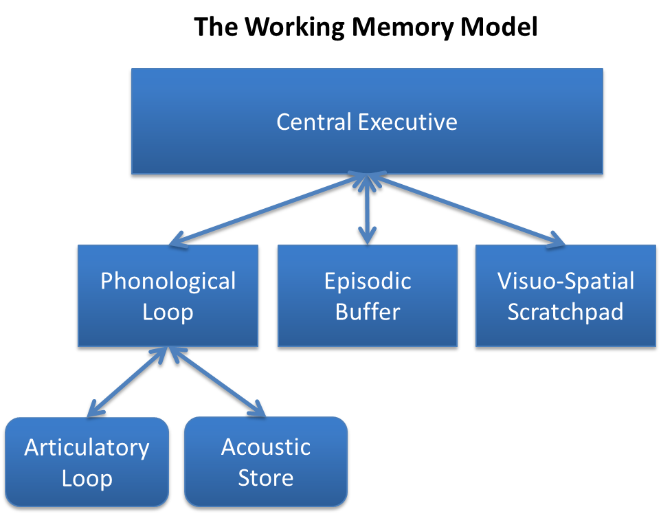 short term memory components