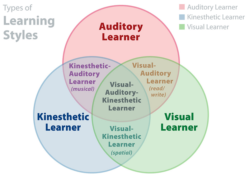 learning styles gardner