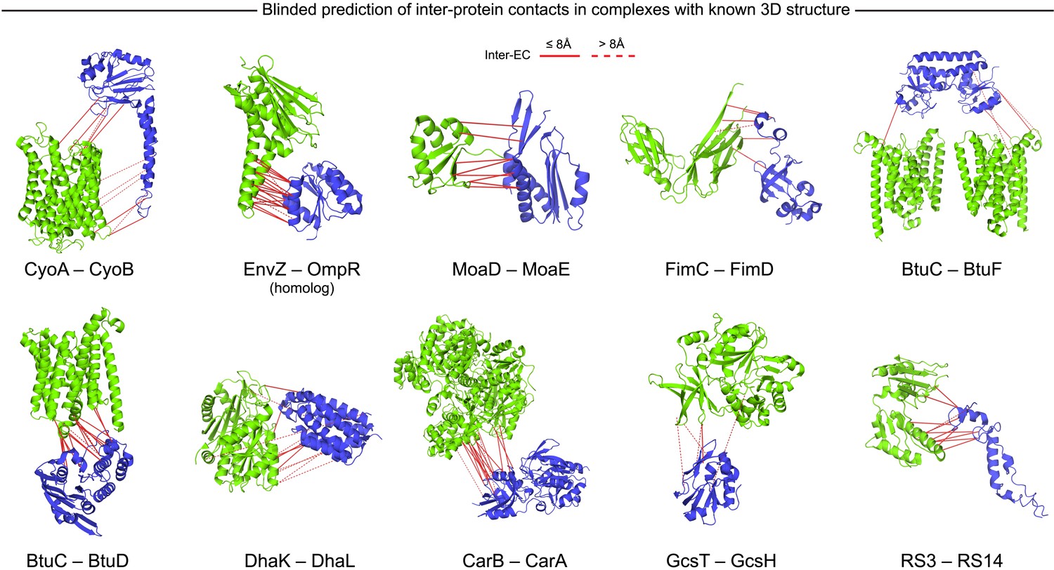 3d protein structure alignment