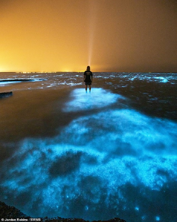 Photographer Mesmerized As He Ran His Hand Through Glowing ...