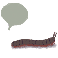 Digital Library of Stories for Kids | Stories | Storyweaver