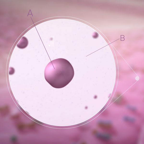 Colpofix® | Vaginal gel to treat human papilloma