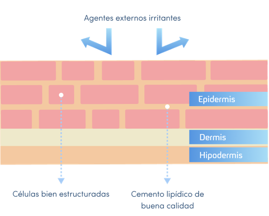 Gama de Productos para el cuidado de la Piel Atópica | Halibut