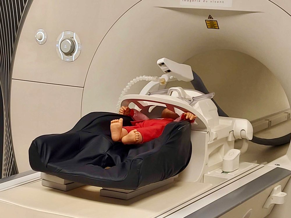 Comment étudier le cerveau des bébés ? : Cortex Mag – Cerveau ...