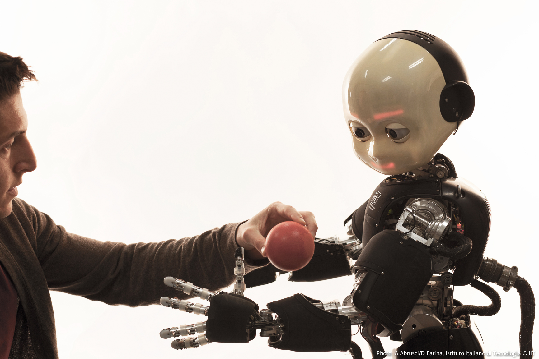 iCub, le robot qui apprend à coopérer avec l’homme : Cortex Mag ...