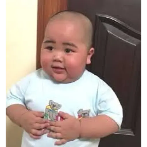 Fat Chinese Baby Meme