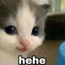 HEHE NOT HEHE - Download Stickers from Sigstick