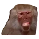 Office Baboon - Download Stickers from Sigstick
