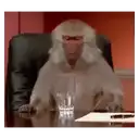 Office Baboon - Download Stickers from Sigstick