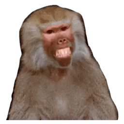 Office Baboon - Download Stickers from Sigstick