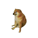 2020 trauma meme pack - Download Stickers from Sigstick