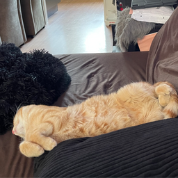 Kan me niet schelen - Download Stickers from Sigstick