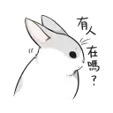 Machiko Rabbit 1 - Download Stickers from Sigstick