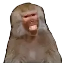 Office Baboon - Download Stickers from Sigstick