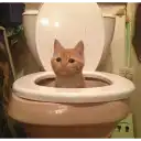 sls - Download Stickers from Sigstick