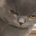 sls - Download Stickers from Sigstick