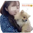 SuA-01 @Dreamcatcher - Download Stickers from Sigstick