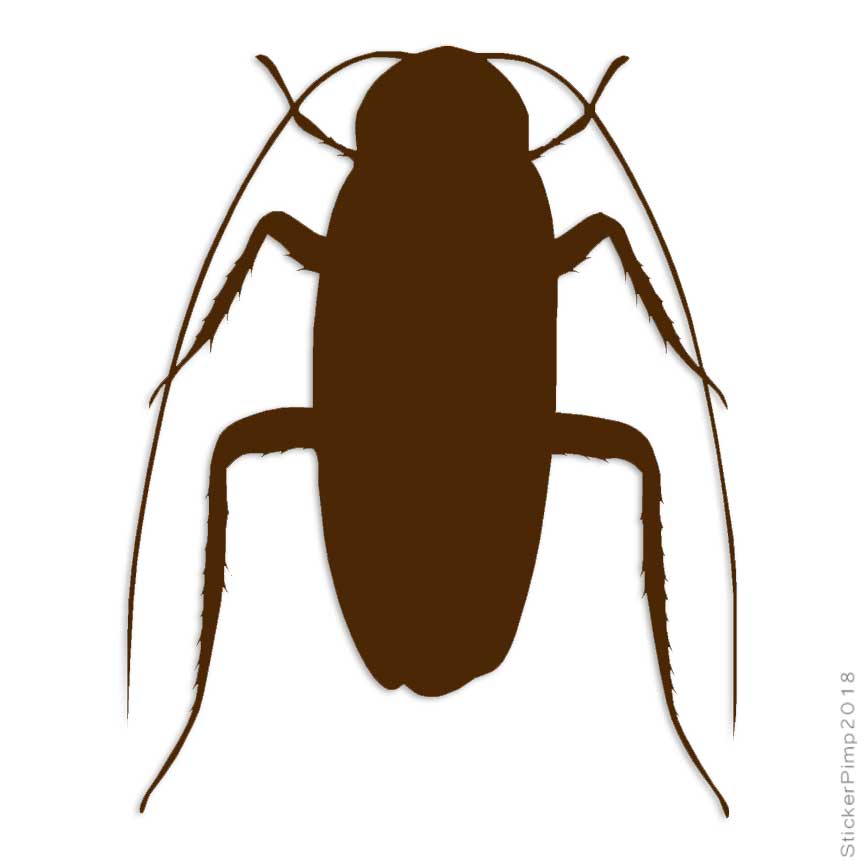 Roach Insect Pest Bug, Vinyl Decal Sticker, Multiple Colors & Sizes ...