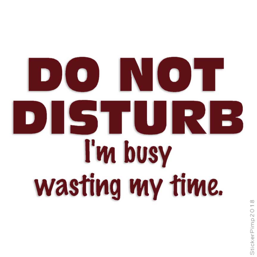 Do Not Disturb Wasting Time, Vinyl Decal Sticker, Multiple Colors ...