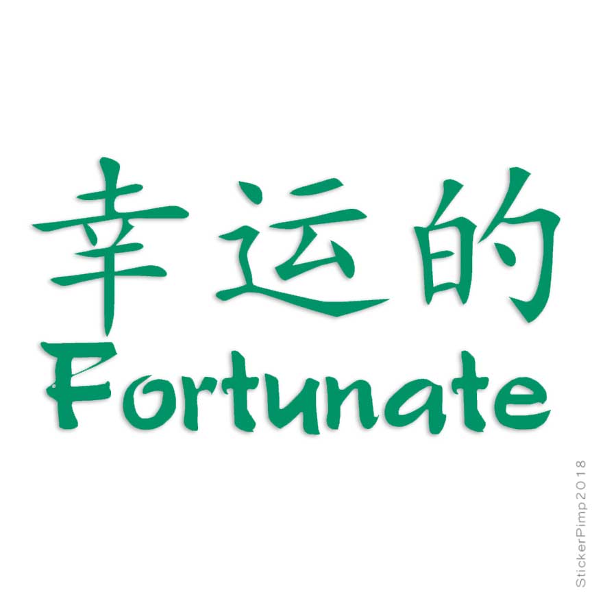 Fortunate Chinese Symbols, Vinyl Decal Sticker, Multiple Colors & Sizes ...