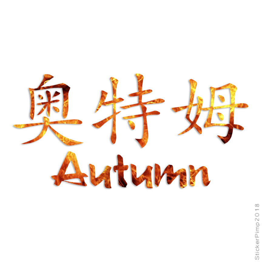 Chinese Symbol Autumn Name, Vinyl Decal Sticker, 40 Patterns & 3 Sizes ...