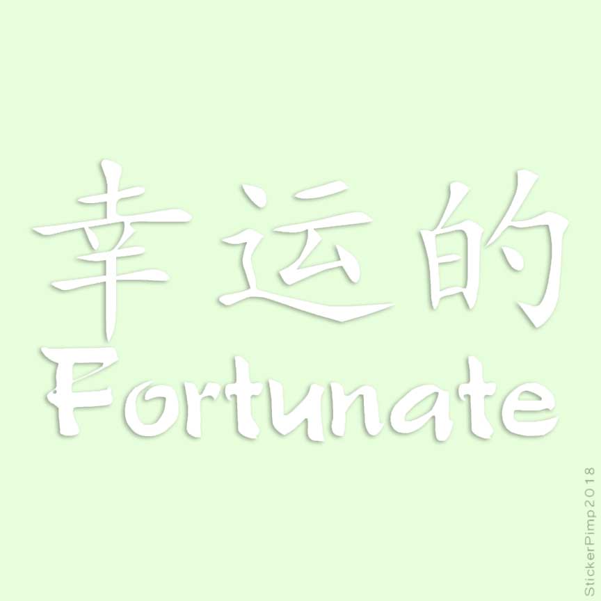 Fortunate Chinese Symbols, Vinyl Decal Sticker, Multiple Colors & Sizes ...