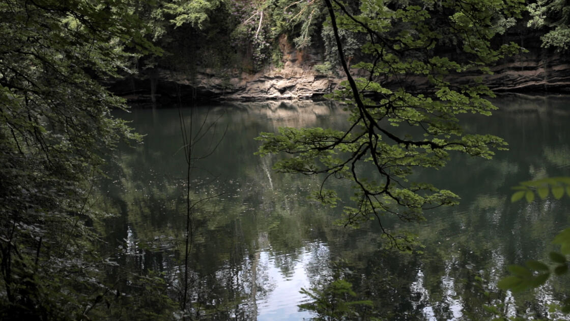 Still Moving | Zenae