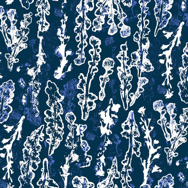 Stonemountain & Daughter Fabrics