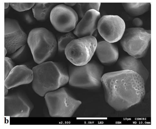 An Optimize Formulation To Synthesis Of Size Controlled Hydrophobic Starch Acetate Nanoparticles