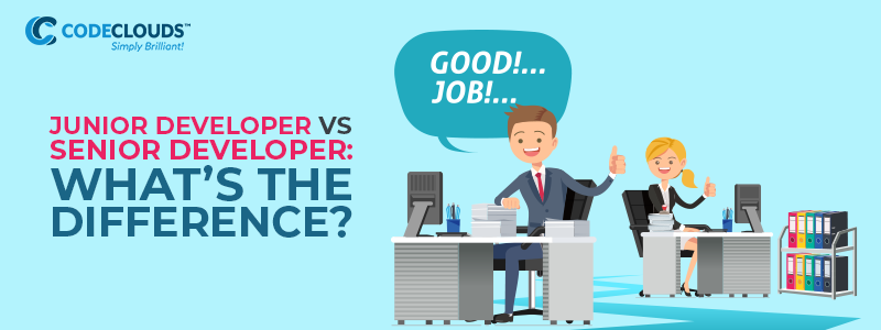 Junior and Senior Developer: What’s the Difference?