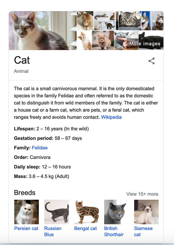 Understanding Google Knowledge Cards and How They are Selected