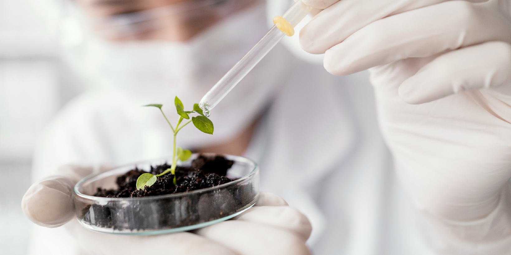 Dawere.com: Educación Virtual de calidad