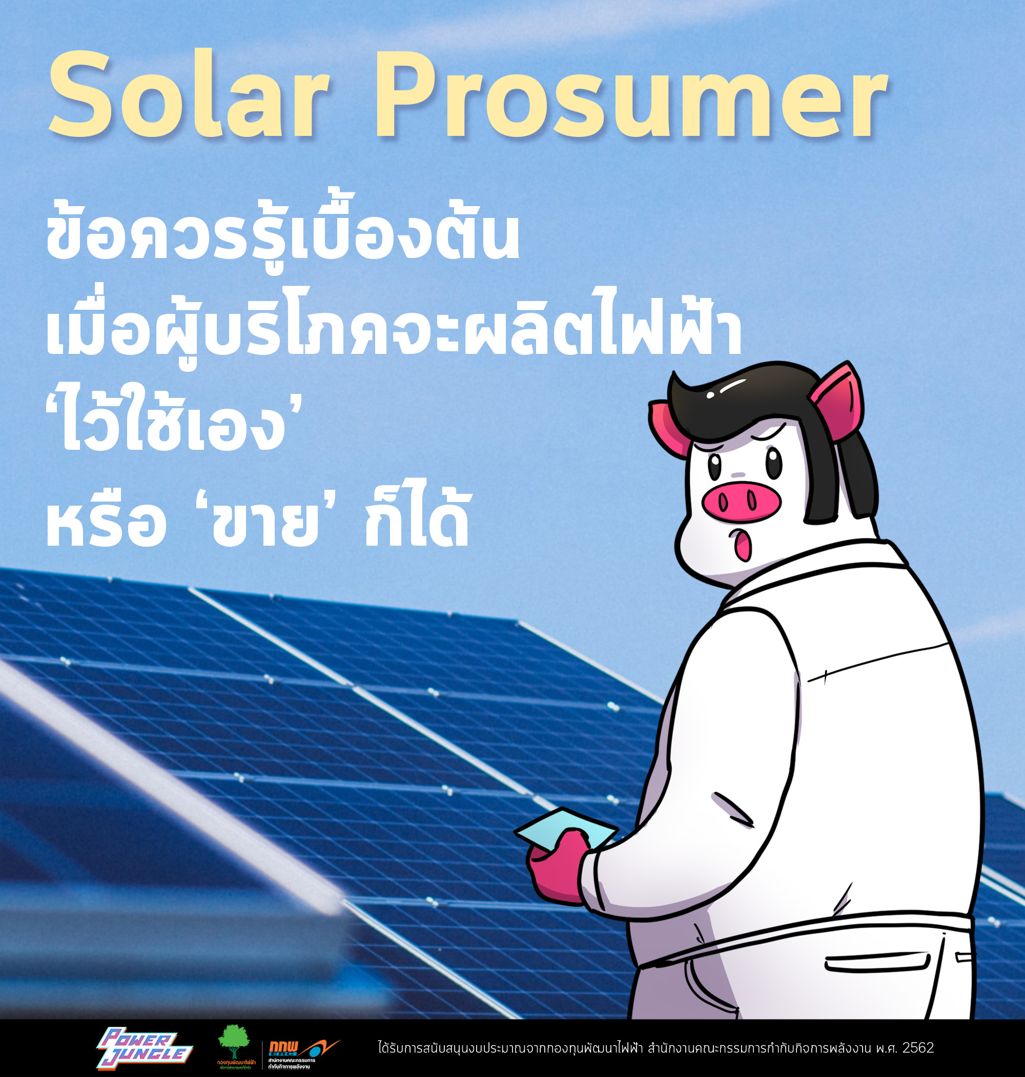 Solar Prosumer ข้อควรรู้เบื้องต้น เมื่อผู้บริโภคจะผลิตไฟฟ้า ‘ไว้ใช้เอง ...