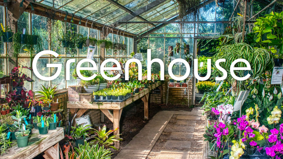Greenhouse | JamesNewman | Screentop.gg
