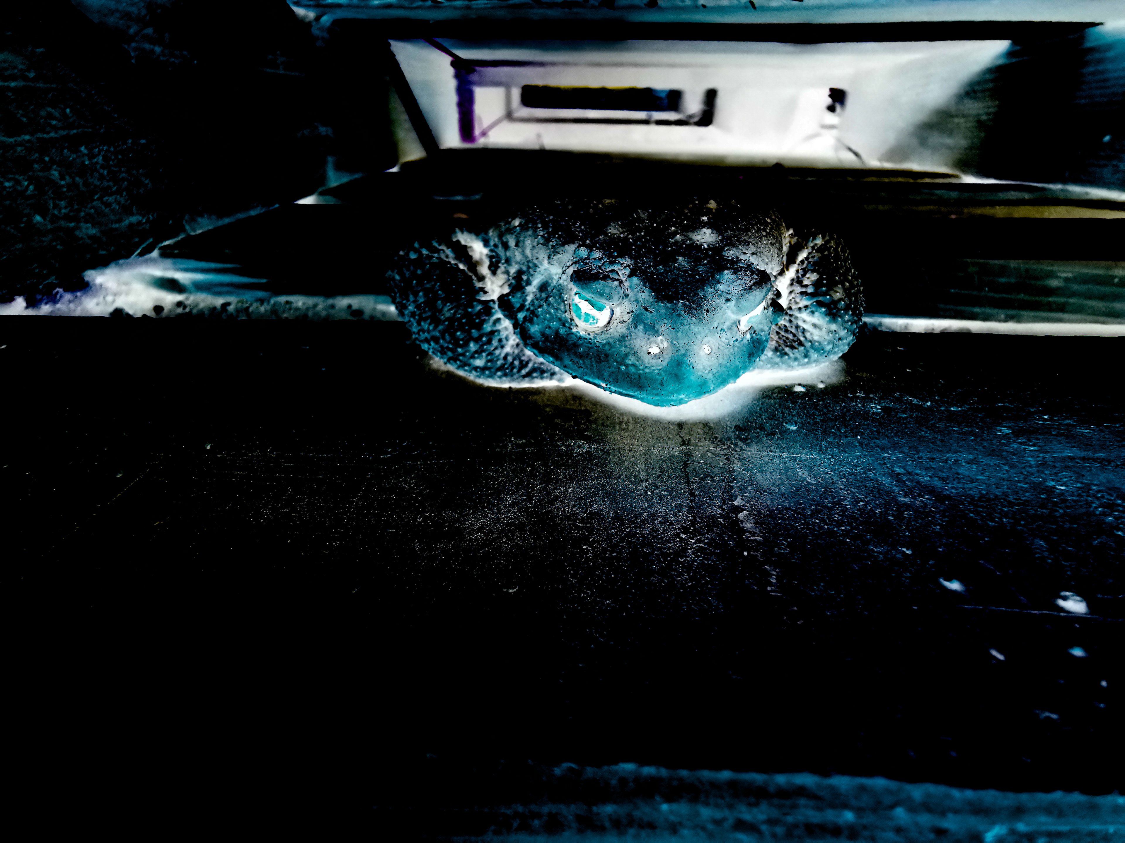 EL TORO THE GAL KEPPER #1 | Original-NFT