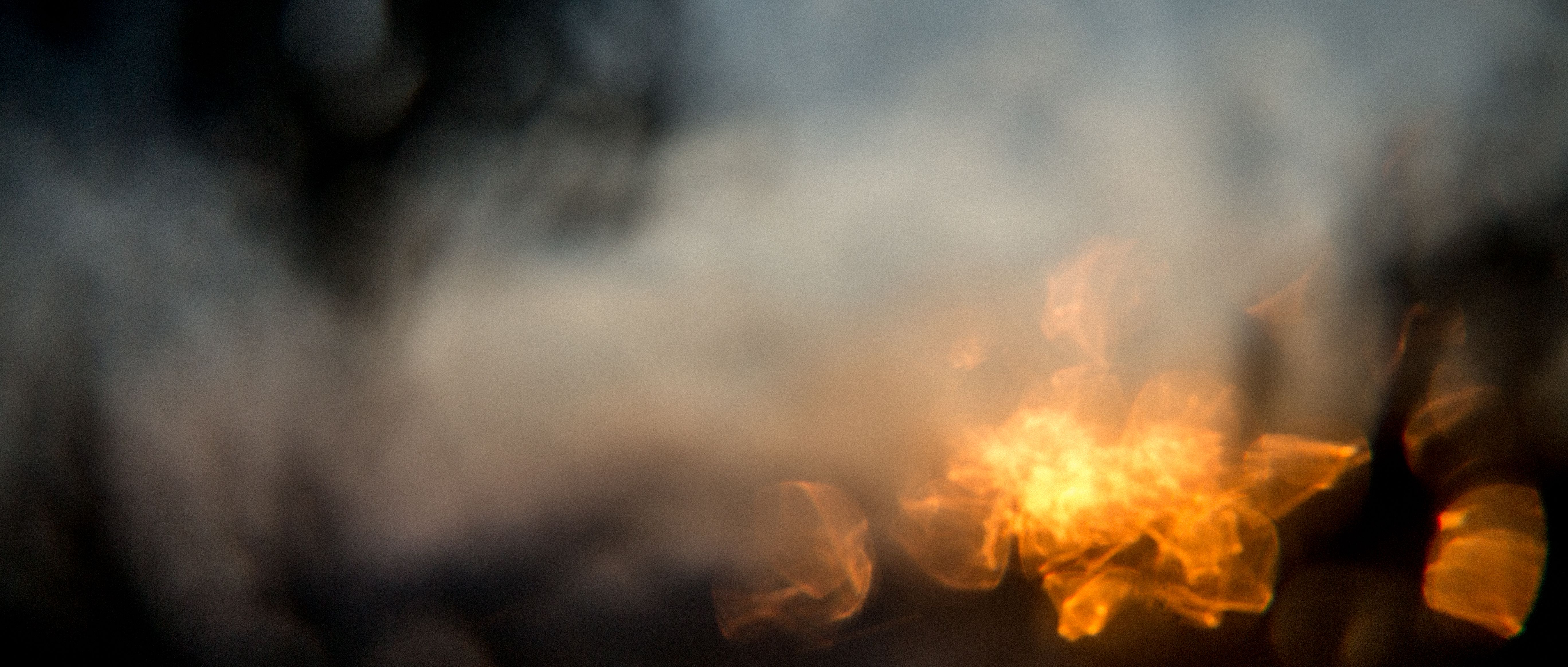 CALIFORNIA WILDFIRE | Original-NFT