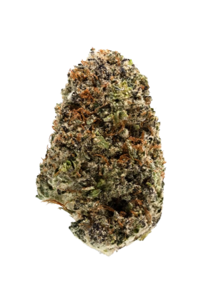 Blueberry Strain Info & Reviews | HashDash