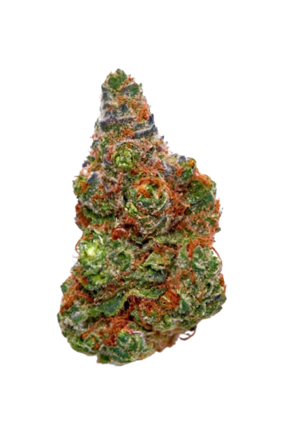 Dream Queen Strain Info & Reviews | HashDash