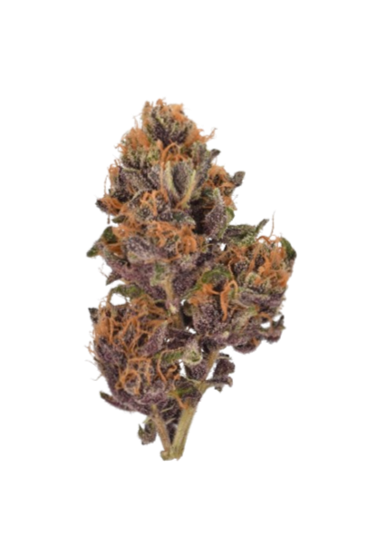 Forbidden Fruit Strain Info & Reviews | HashDash