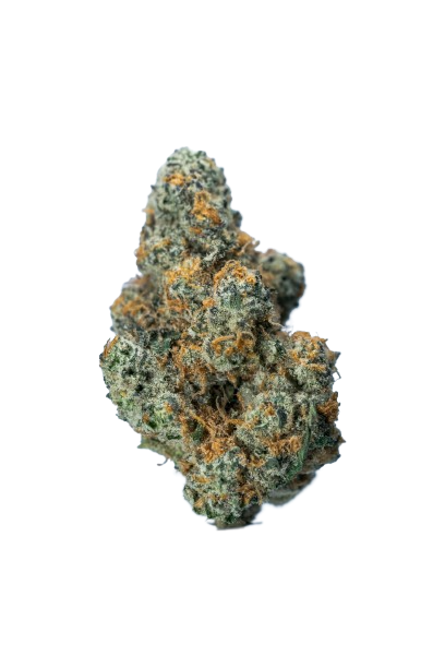 Garlicane Strain Info & Reviews | HashDash