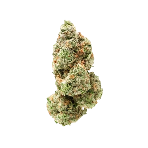God's Gift Strain Info & Reviews | HashDash
