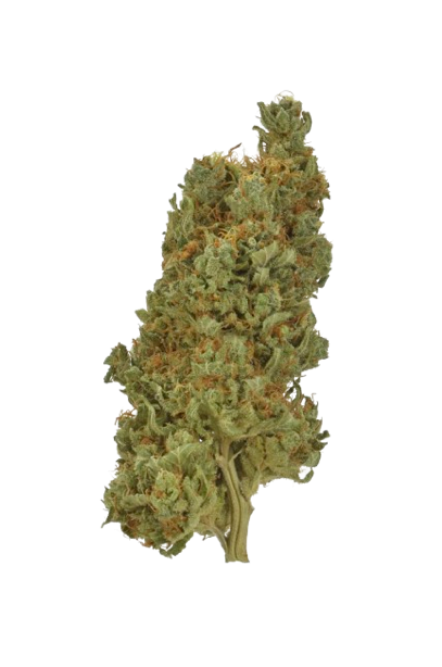 Master Kush Strain Info & Reviews | HashDash