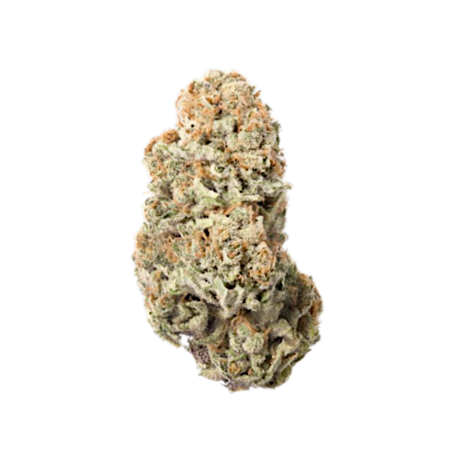 Predator Pink Strain Info & Reviews | HashDash