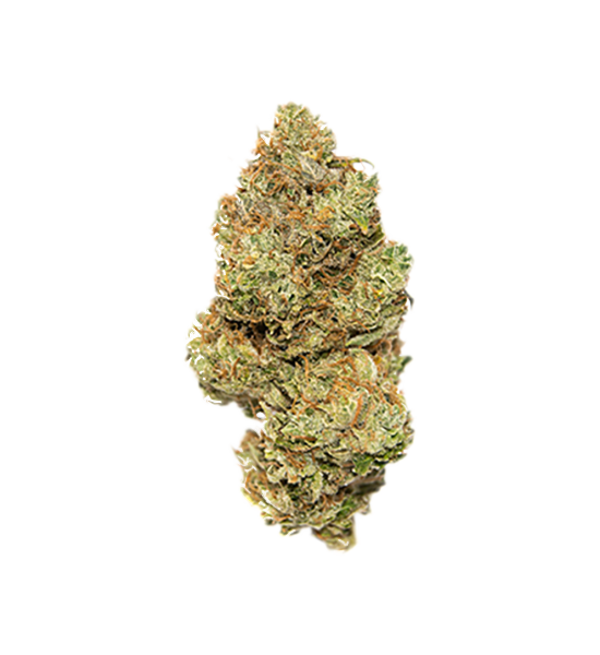 Lemon Tree Strain Info & Reviews | HashDash