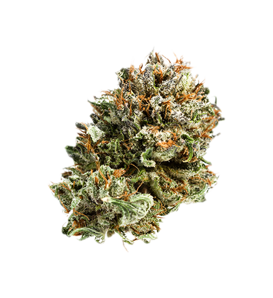 LSD Strain Info & Reviews | HashDash
