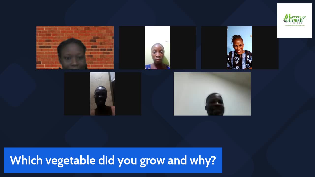 Conversations with our GrowVeg 3.0 champions: Their journeys, lessons ...